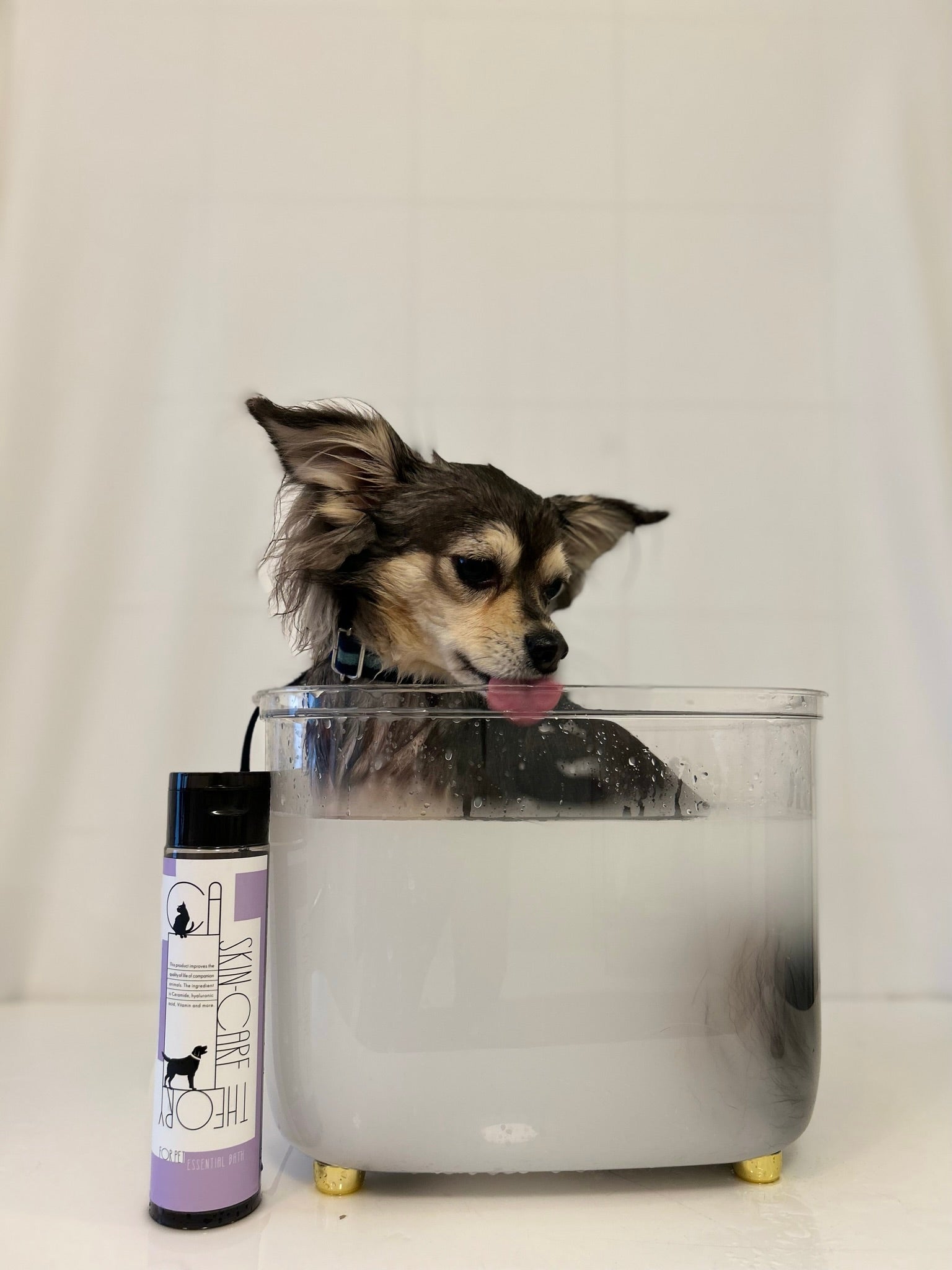 ペットスキンケア | CA Skin-Care Theory 公式オンラインショップ